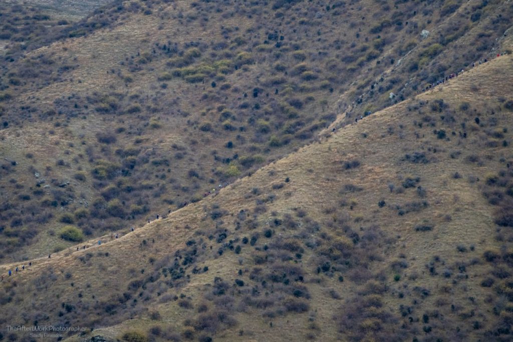 Running Medicine | Follow Doctor John Molloy on his marathon journey | Mt Difficulty Ascent 44km ...